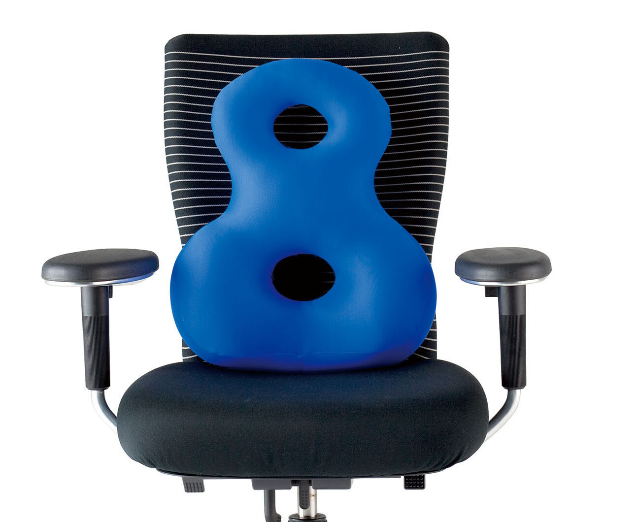 バックサポーターエイトがテレビ『ドランクドラゴンのバカ売れ研究所』に登場｜MOGU公式